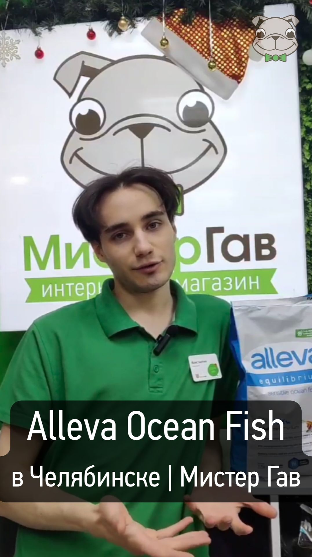 Alleva Equilibrium Ocean Fish — опыт кормления корги | Отзыв сотрудника «Мистер Гав»