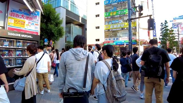 [Akihabara Walk in Tokyo] Moe Kyun Lost World