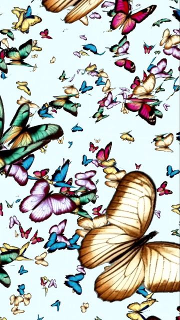 #Полёт #Бабочки 🔘🔵🔴 🅰🅽🅳🆁🅾🅸🅳🅿🅻🆄🆂👹