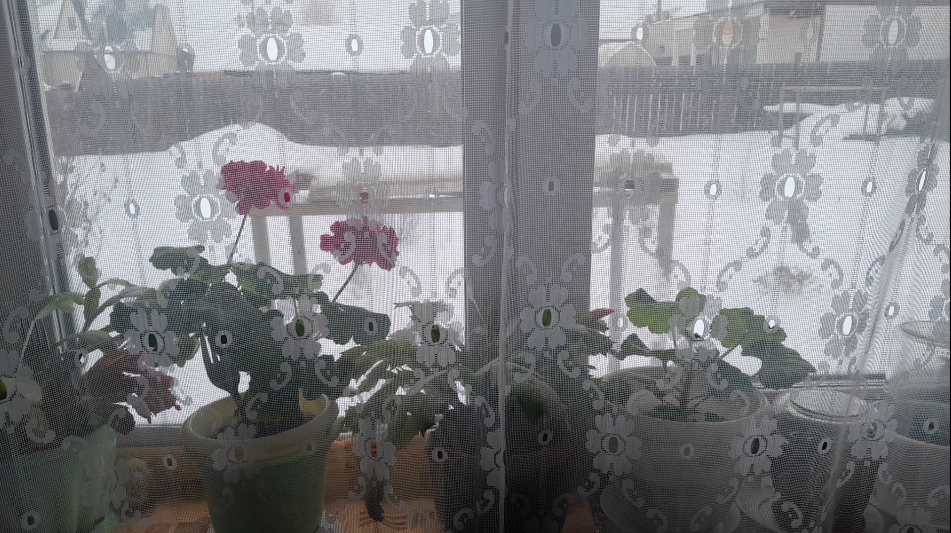 Со Старым Новым годом/"Русский салат 🥗 по новому"/Мой Загородный #дом Домашний влог