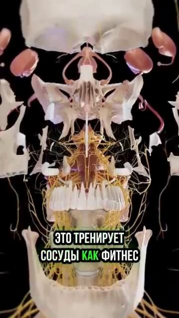 От инсульта