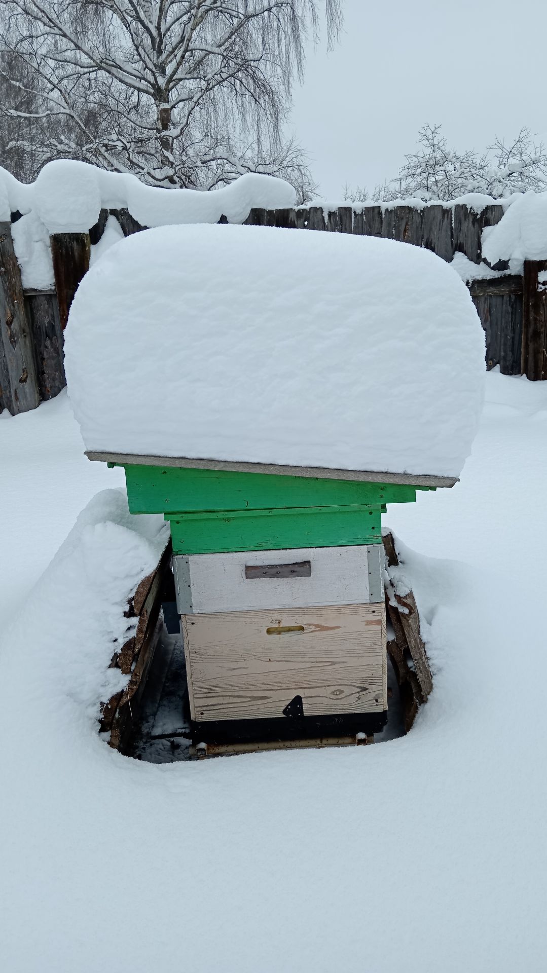 Зима На Моей Пасеке