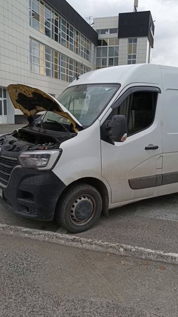 Рено Мастер - отключение сажевого фильтра и клапана ЕГР в Перми.