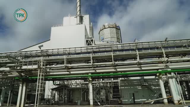 Экология важна: как в городе решают экологические проблемы