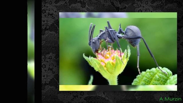 Юрий Бунтов - Начало