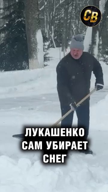 Лукашенко сам убирает снег
