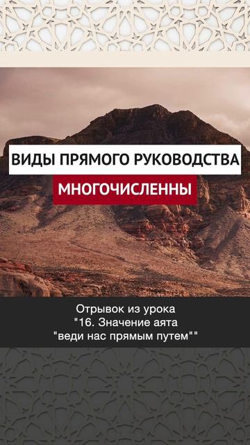Виды прямого руководства многочисленны || Ринат абу Ибрахим