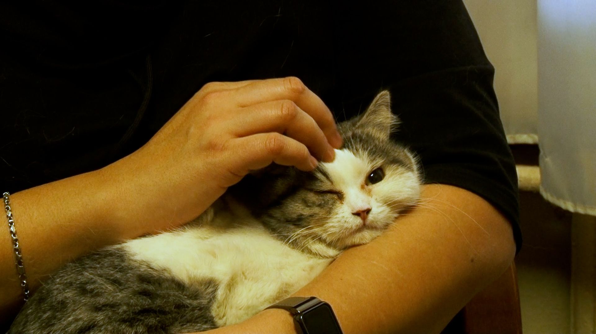 ПУШИСТЫЙ ХРАНИТЕЛЬ