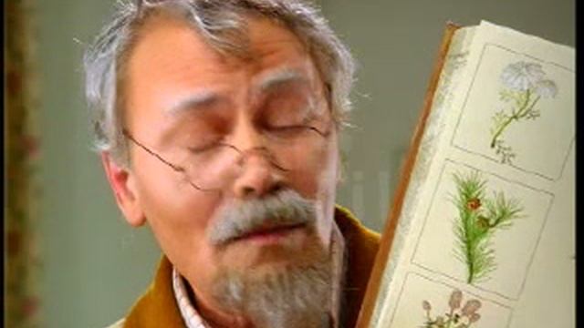 Реклама Пиносол