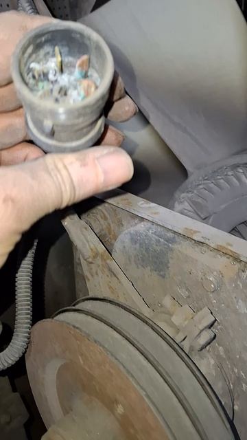 Джарджавелли