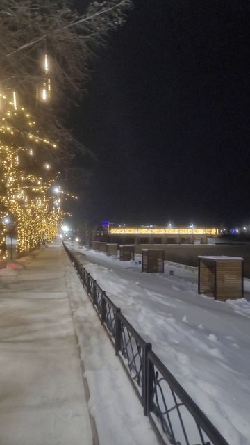 Новогодняя набережная в Кургане#shorts