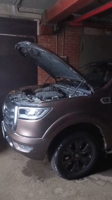 Грейт Вол Поэр - отключение мочевины в Перми.