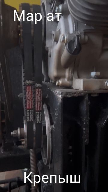 Багги Крепыш