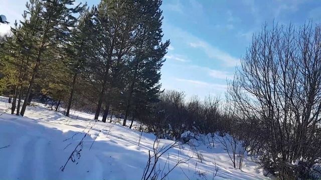 Прогулка по рыхлому снегу