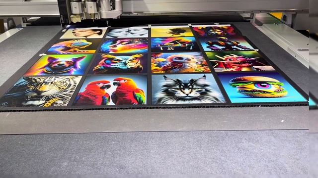 Резка жесткого гофрированного картона с помощью цифровой режущей машины TPS X9 2516