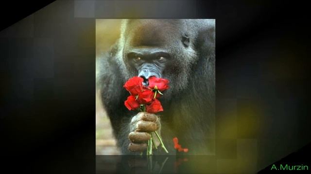 Юрий Бунтов - Слёзы осени