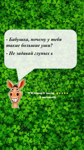 Юмор 5 звезд - #юмор #смешно #ржач #прикол #анекдот #веселоевидео