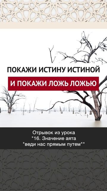 Покажи истину истиной и покажи ложь ложью || Ринат абу Ибрахим