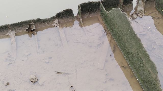 Китай. Город Гуанчжоу. Парчовый сом и бетонный корабль.