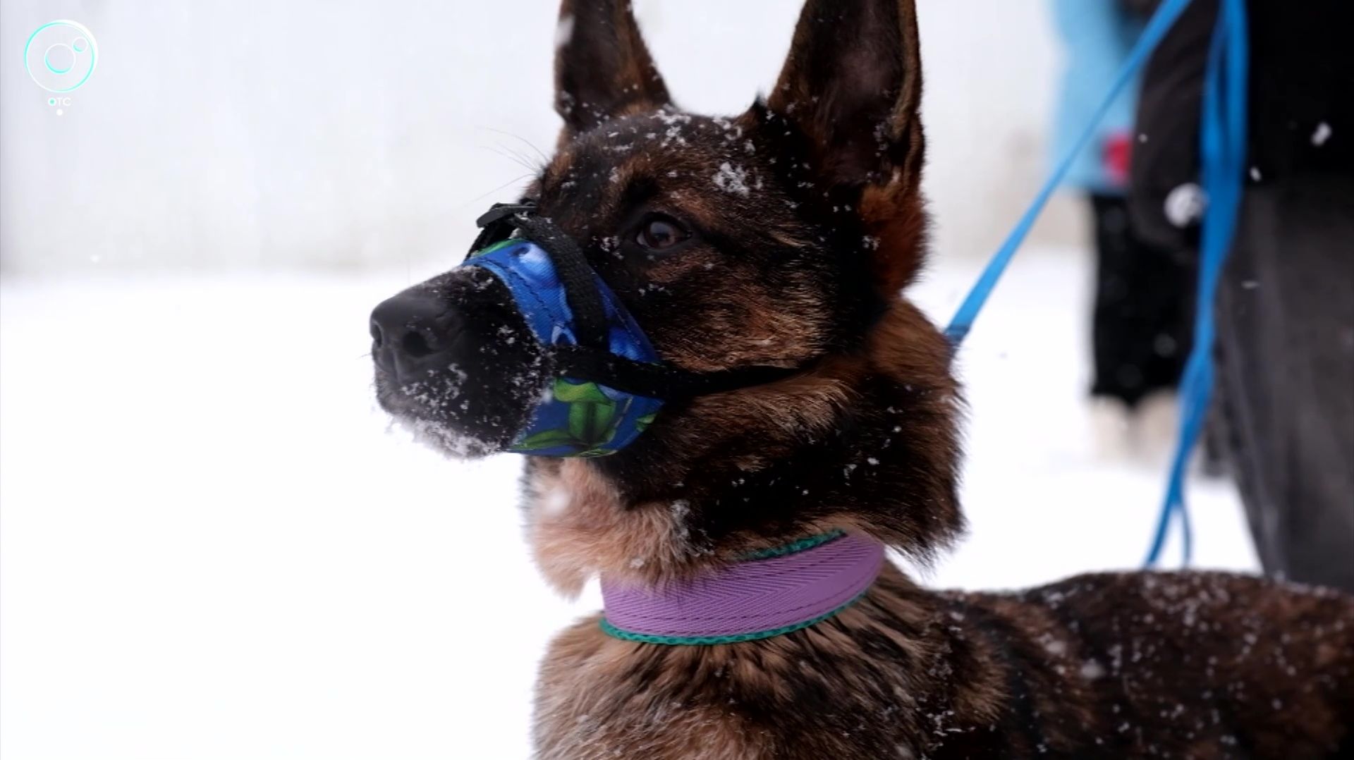 НОВОСТИ УТРА – 16 января 2026