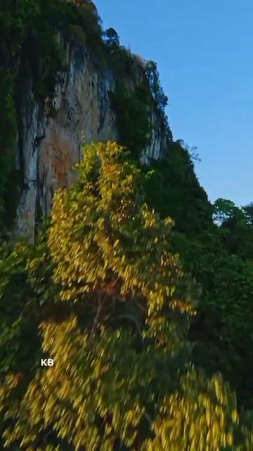 #видео #рекомендации #топ #рек #врек #2026 #katyboro