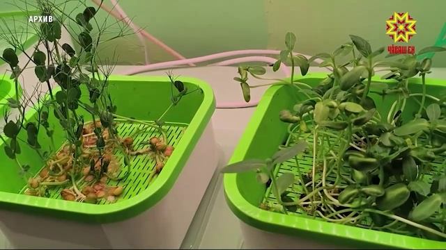 Чăваш Енре агромпромышленность комплексĕн аталанăвĕн стратегине йышăннă