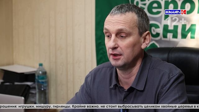 Куда утилизировать правильно хвойное дерево после новогодних праздников