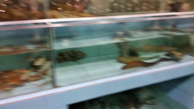 Муйне легкий перекус