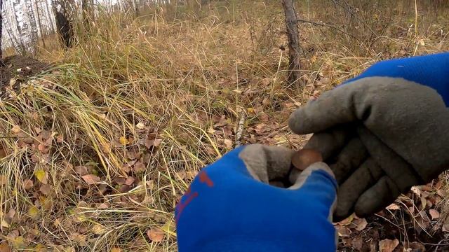 Залипуха и Кошелёк