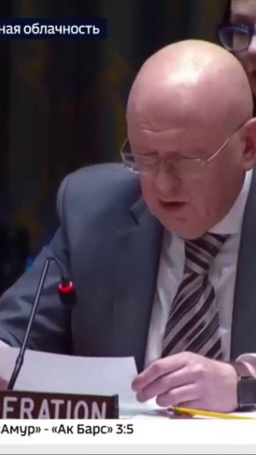 Василий Небензя