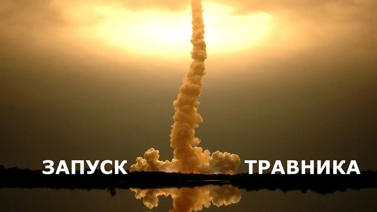 Запуск аквариума и посадка растений в акваскейп