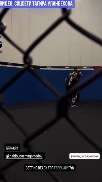 ЖЕСТКИЙ и ЧЕТКИЙ контроль Хабиба за работой Усмана Нурмагомедова в спарринге