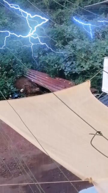 Кабана на колбасу