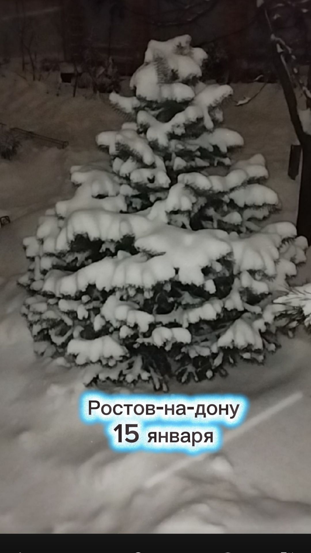 Ростов под снегом 15 января 26г.