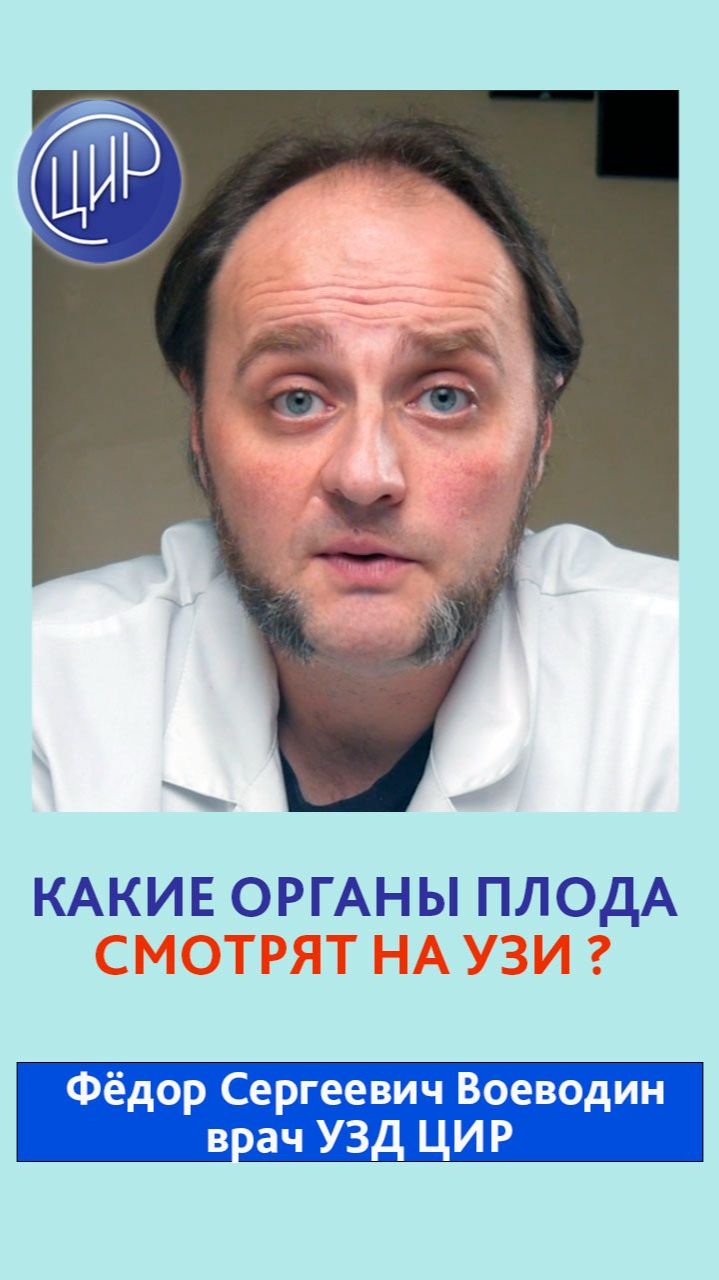 Какие органы плода смотрят на УЗИ на разных сроках? Врач УЗД ЦИР, Фёдор Сергеевич Воеводин.