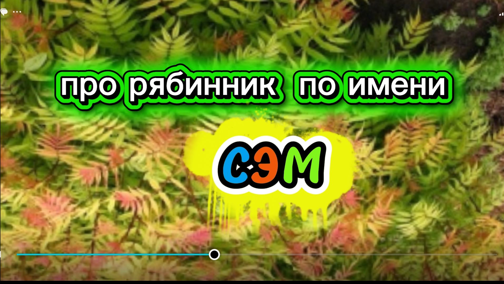 Рябинник рябинолистный Сэм