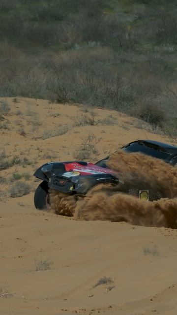 Баха "Золото Кагана 2025"