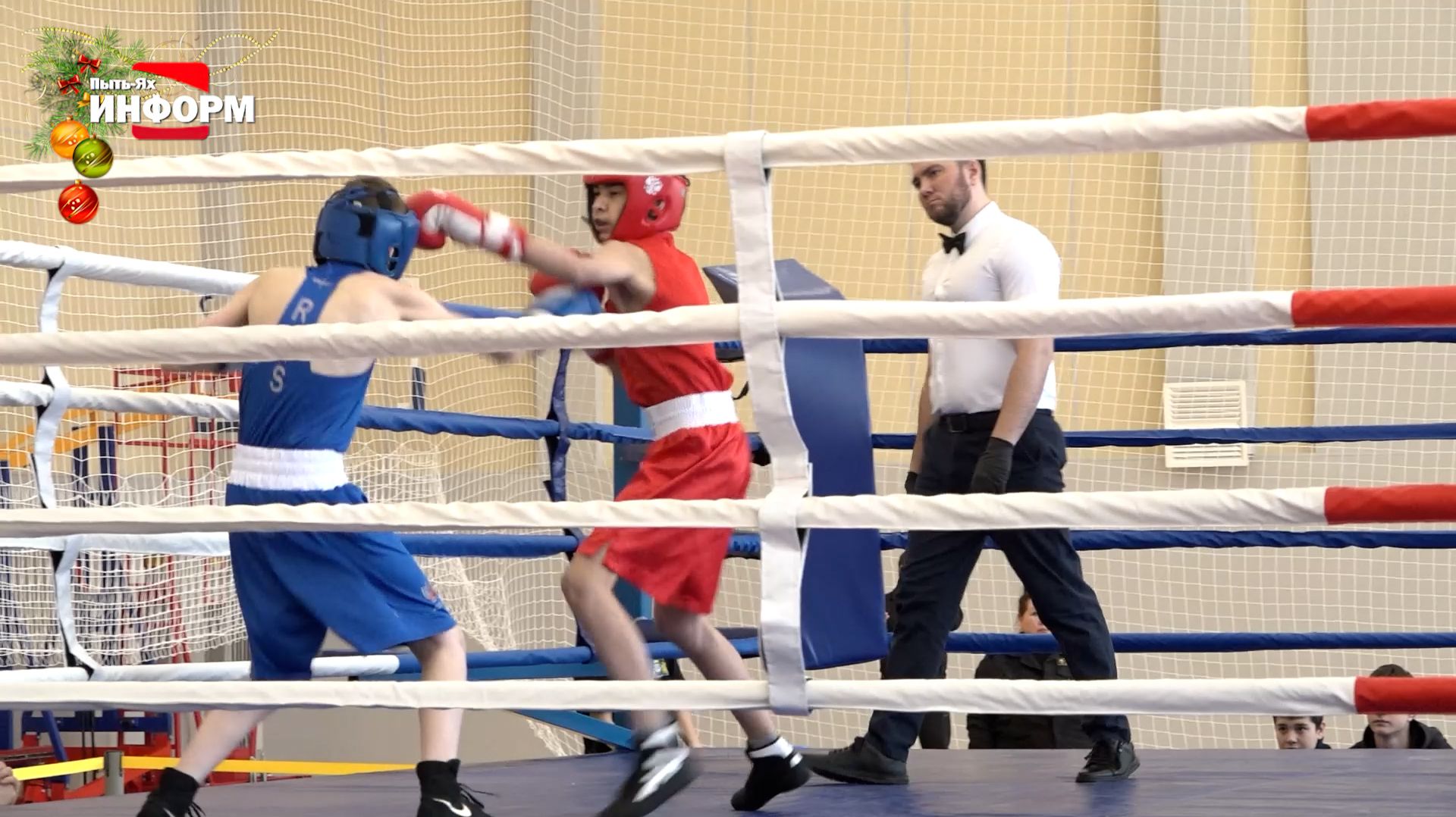 Зональное первенство по боксу