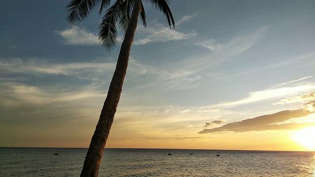 Вьетнам Муйне вид из номера