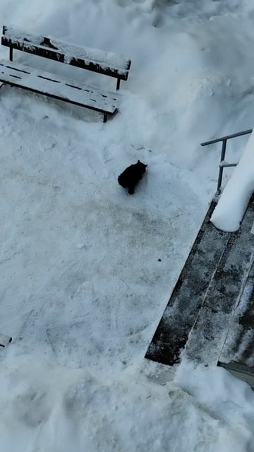 PXL_20260116_100205179