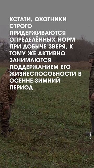 Учёт зверья