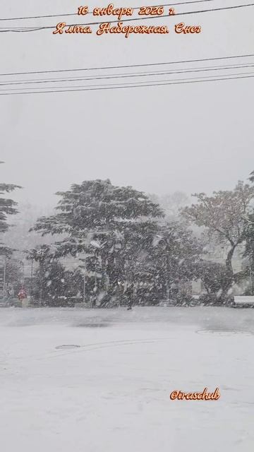 16 января 2026 г. Ялта. Набережная. Снег #ялта #ялта2026 #снегопад