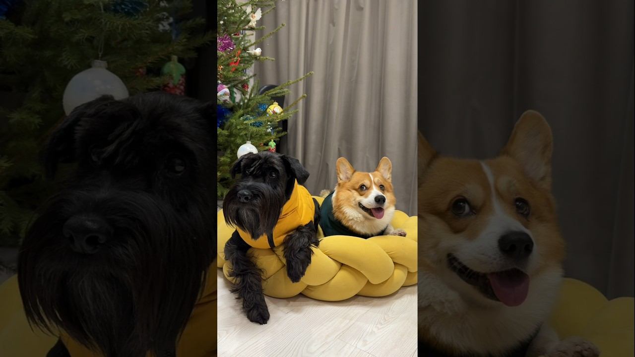 Подарок для невесты