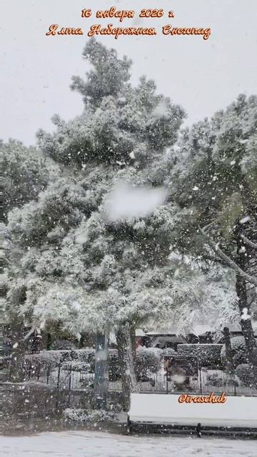 16 января 2026 г. Ялта. Набережная. Снегопад #ялта #ялта2026 #снегопад