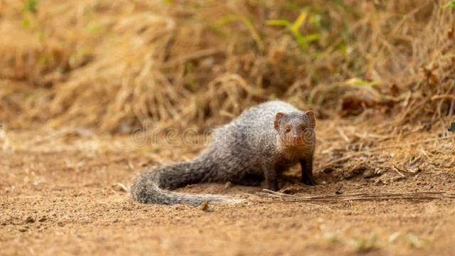 Прячутся в самых неожиданных местах