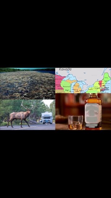 ДЖОН СТЕЙНБЕК - "ПУТ с Ч в поисках АМ "6