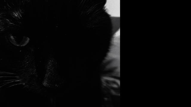 Ремастер третьей фазы жутких лиц Шмяка (+ полная музыка этой фазы) Брать разрешаю ✅