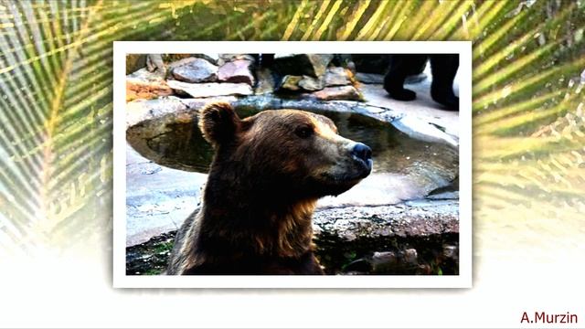 2Illusions - Time to Relax