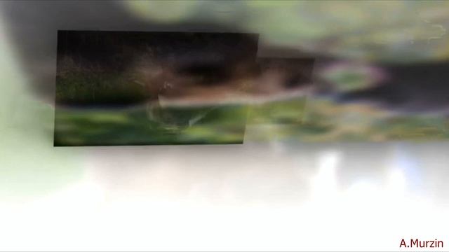 2Illusions - Why Words