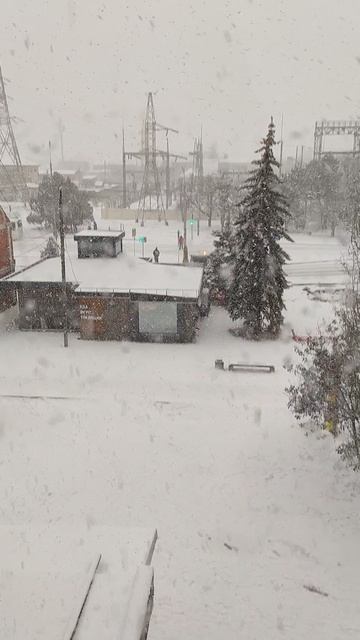 29.12.25. Ранняя зима